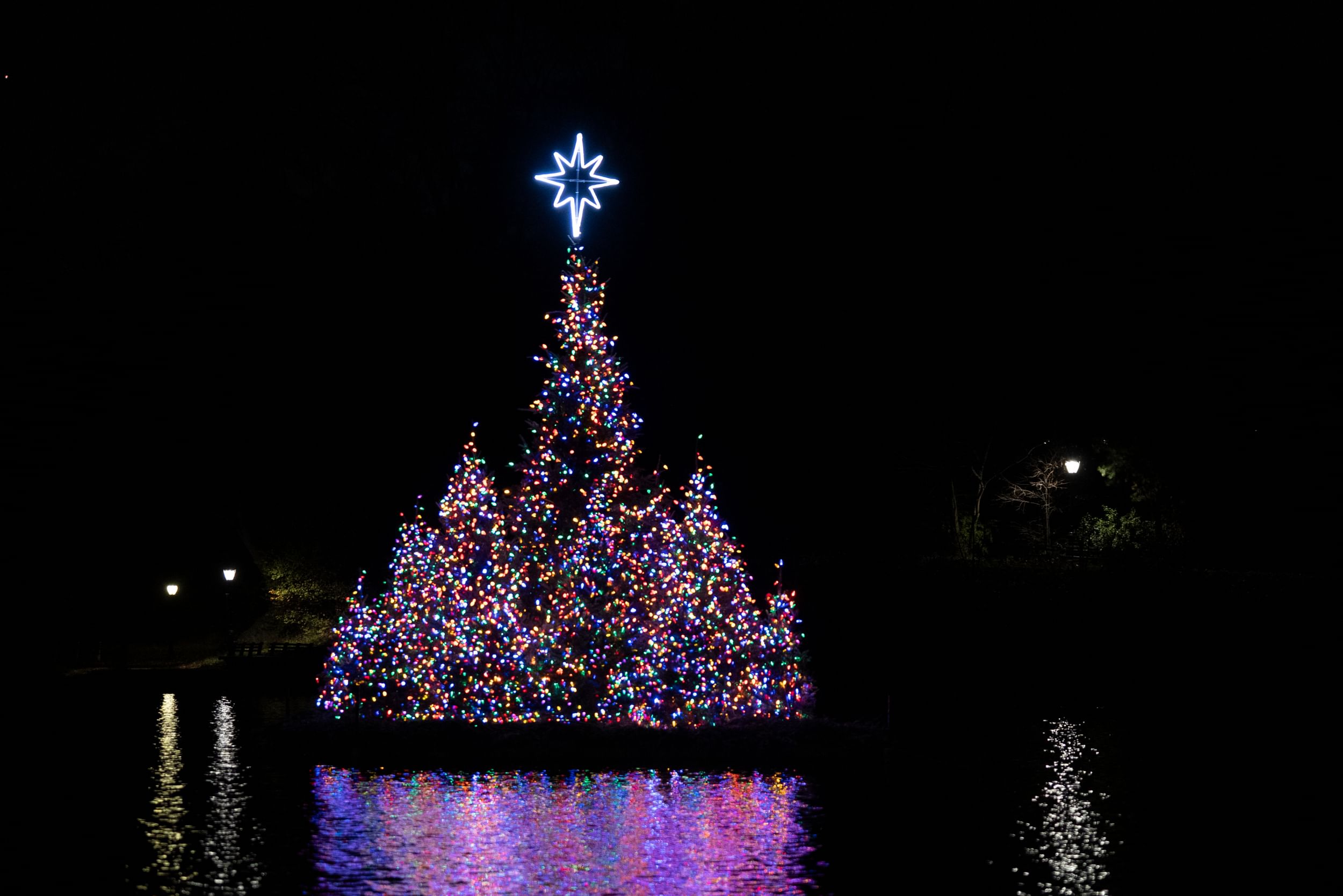 Holiday Guide | Central Park Conservancy