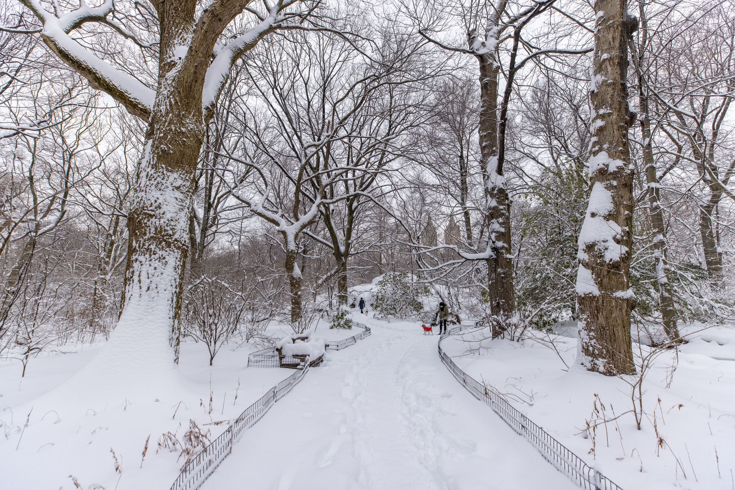 Holiday Guide | Central Park Conservancy
